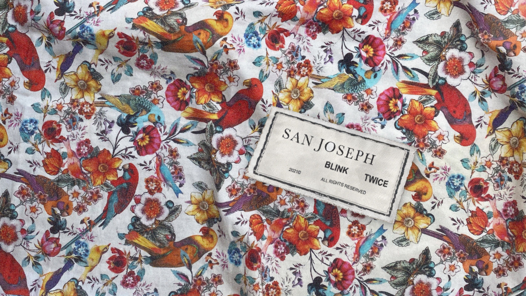 San Joseph débarque avec "Blink Twice" ! - Riptide Mag